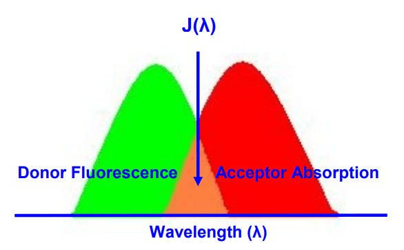 Tide Fluor™ and Tide Quencher™ Dyes, Optimized for Maximizing the Power ...