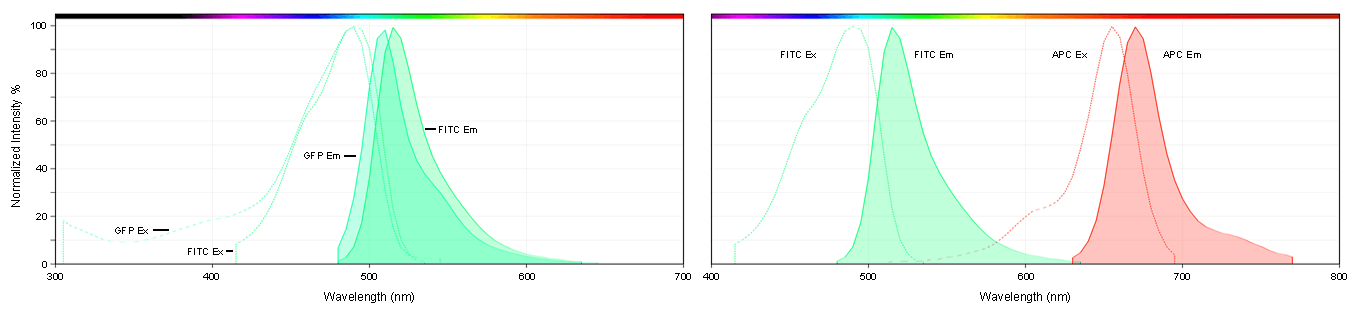 Fluorescein Isothiocyanate (FITC) | AAT Bioquest