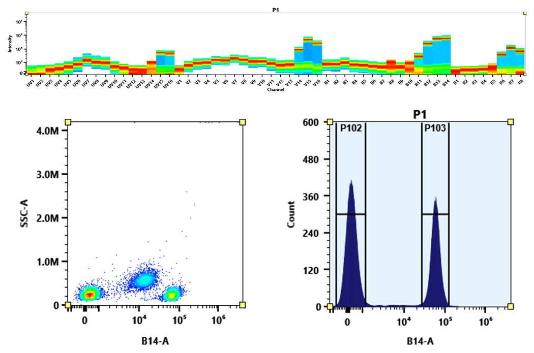 PerCP-Cy7 | AAT Bioquest