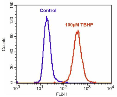 Total ROS Detection | AAT Bioquest