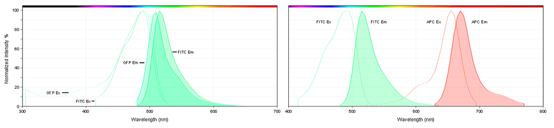 Fluorescein isothiocyanate (FITC) | AAT Bioquest