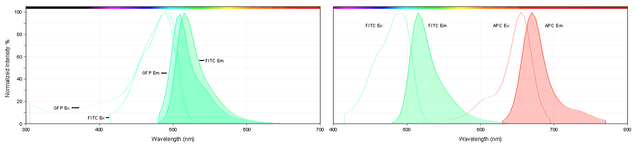 FITC (Fluorescein isothiocyanate) | AAT Bioquest