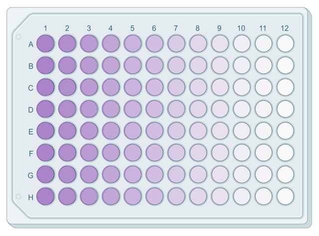 MTT Assay | AAT Bioquest