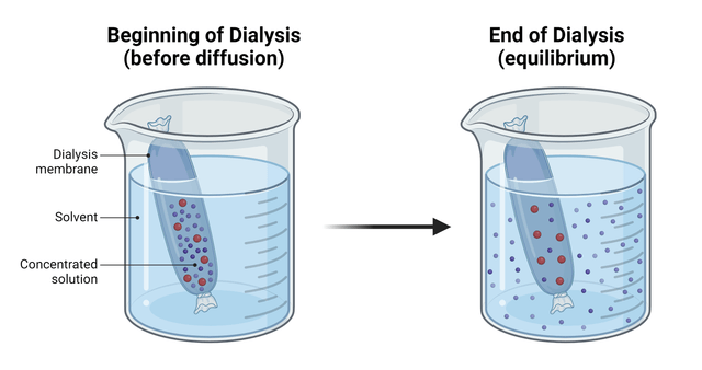 Cell Lysis, Dialysis & Desalting Reagents | AAT Bioquest