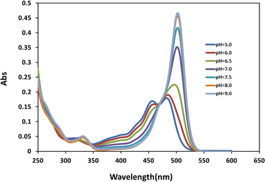 Intracellular pH | AAT Bioquest