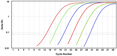 ROX Reference Dye for Real-Time PCR | AAT Bioquest