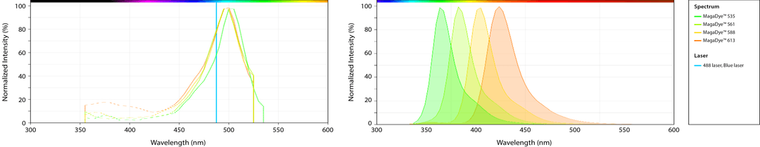 Sanger Sequencing | AAT Bioquest